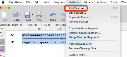 SnapGene V6.0 全新功能：自定义特征类型（四） - 知乎