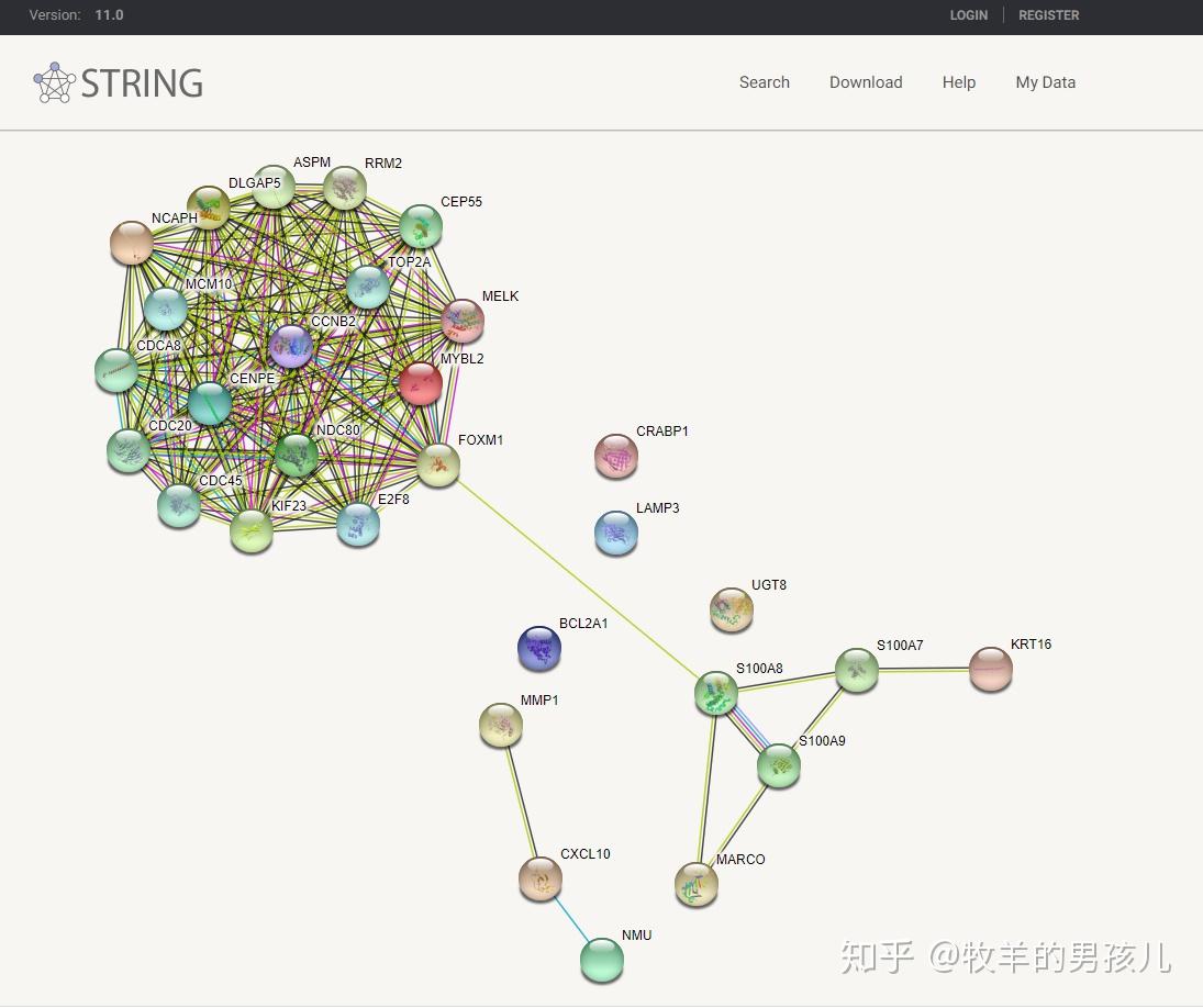 R语言可视化STRING分析的蛋白互作网络（PPI） - 知乎