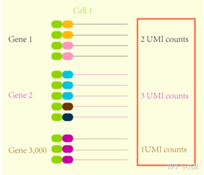 10X genomics单细胞转录组分析流程 - 知乎