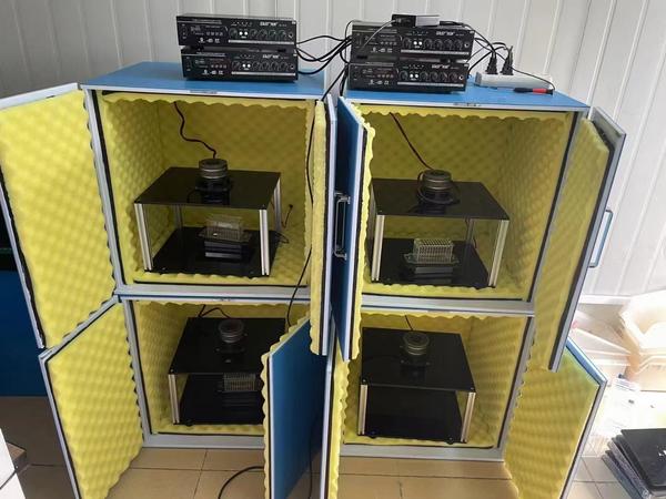 欣软行为学/ 小鼠耳鸣模型的建立方法及声音惊跳反射检测法 - 知乎