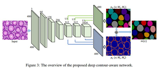 DCAN: Deep Contour-Aware Networks for Accurate Gland Segmentation阅读笔记 - 知乎