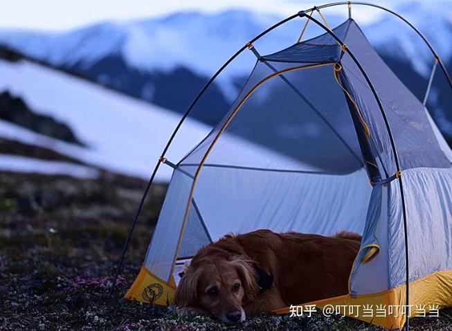 【2023】尼康Z5选购指南：详解尼康Z5怎么样？详解尼康Z5配什么镜头等问题