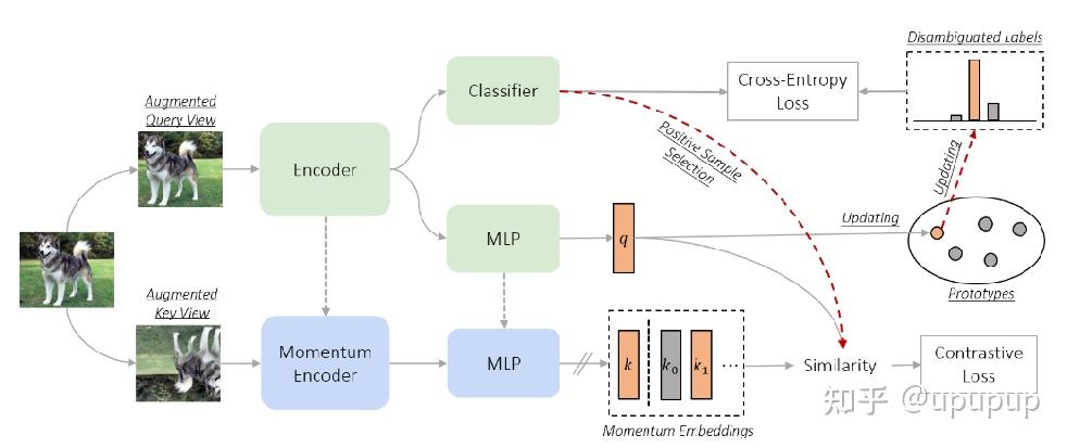 PiCO: Contrastive Label Disambiguation in Partial Label Learning 论文阅读笔记 ...