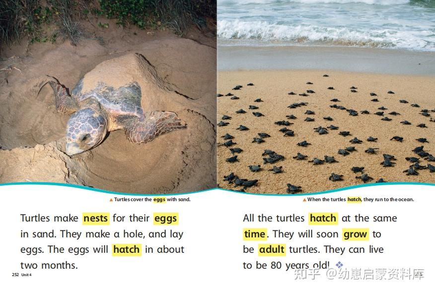 《Reach Higher》全套视频+音频+12册PDF教材+12册PDF练习册+1-4外教录播课+1-3鲸鱼PPT课件，不要错过！ - 知乎