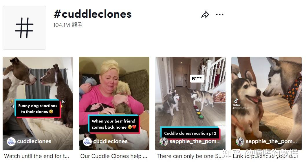 “克隆宠物玩偶”在TikTok流量过亿，专属铲屎官的私人定制 | 嘀嗒狗 - 知乎