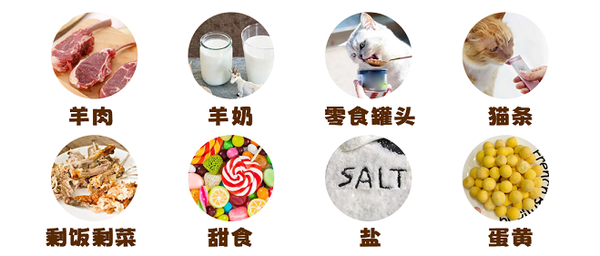 猫咪上火吃什么降火?猫咪上火的症状表现及处理方法 知乎
