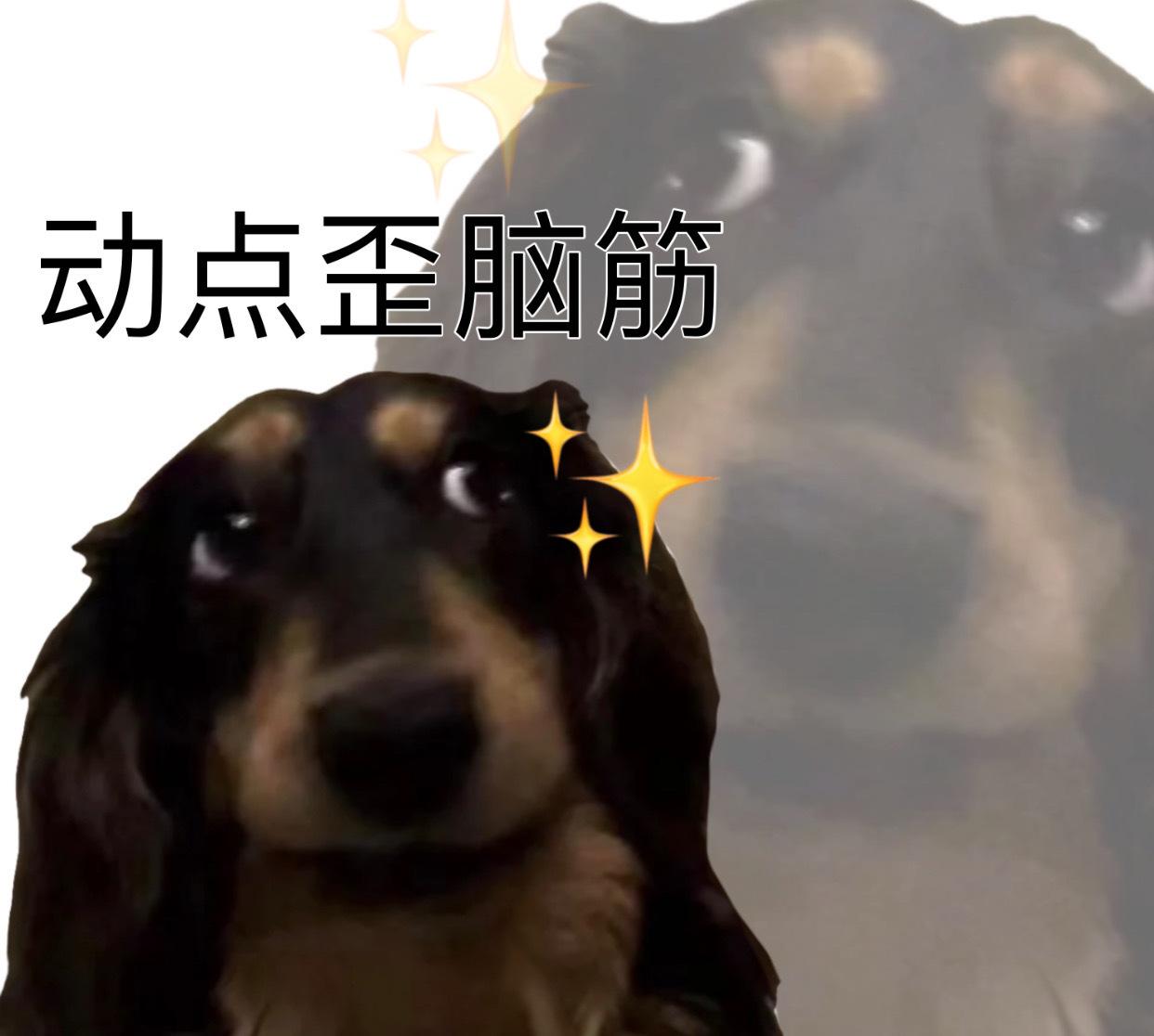 80张最近很火的发疯表情包|精神状态|无水印表情包 - 知乎