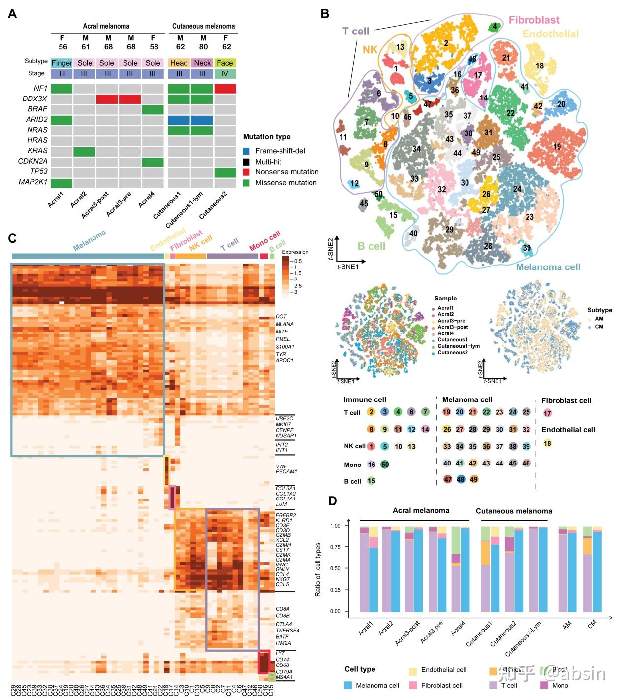 多色文献分享：探究黑色素瘤的肿瘤免疫微环境 - 知乎