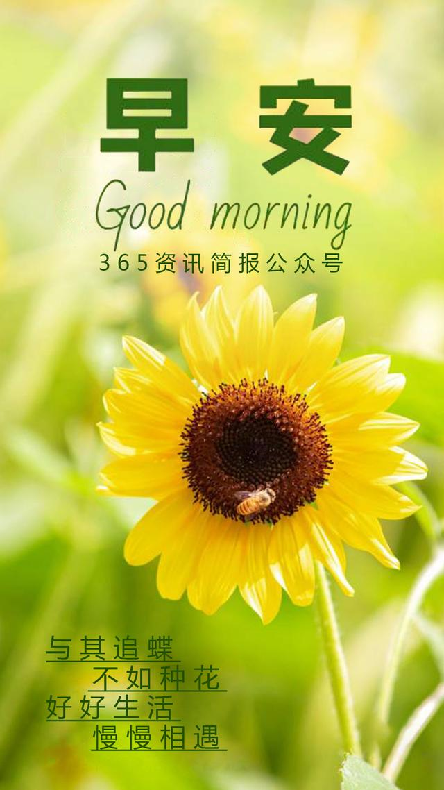 今日早报 每日热点15条新闻简报 每天一分钟 知晓天下事 8月28日 知乎 