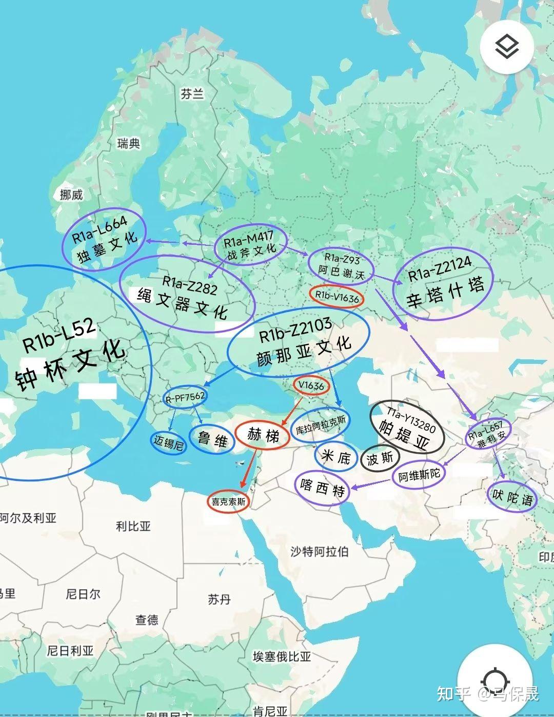 重大发现：R1b-FTE1 - 知乎