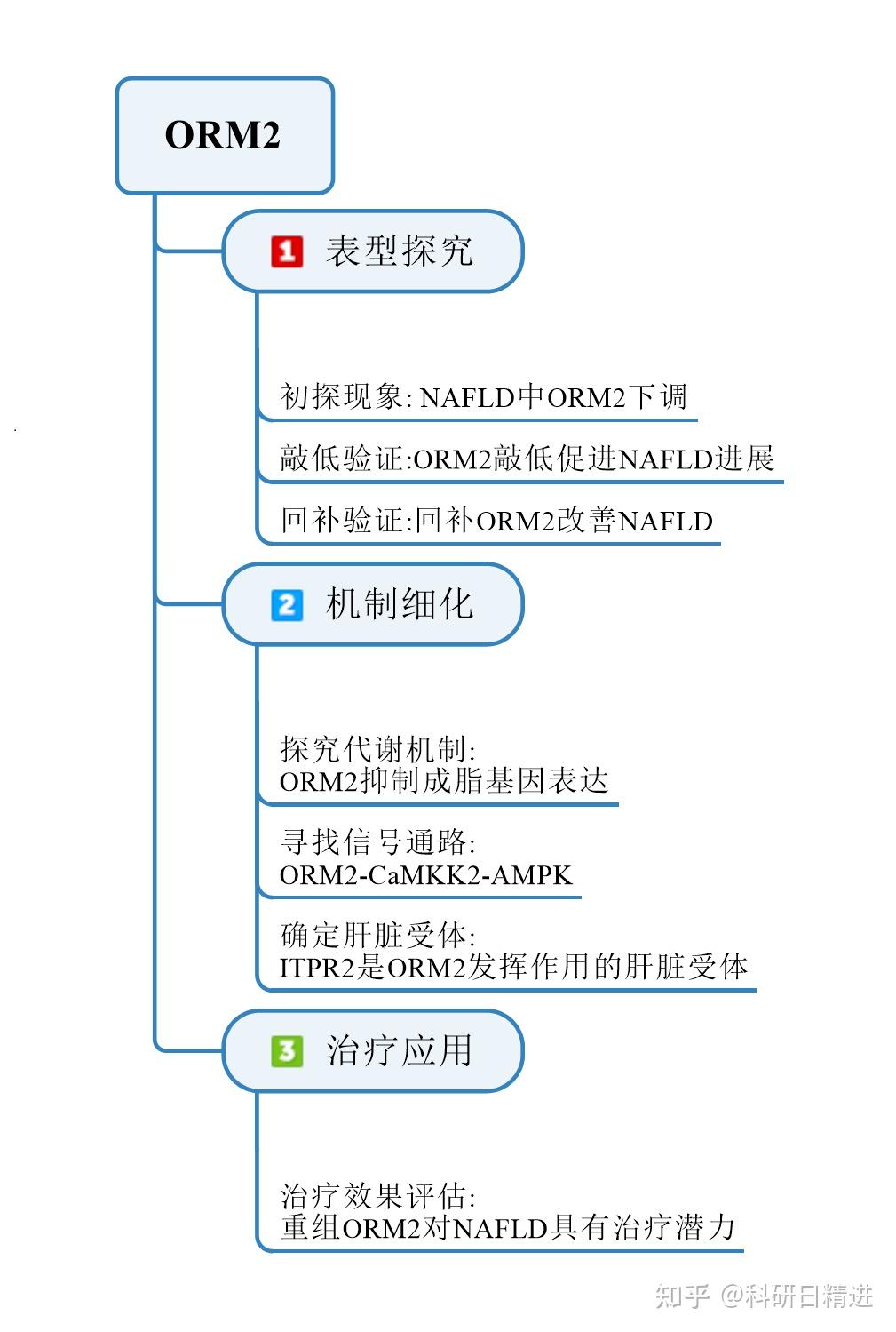 Nature metabolism丨肝脏因子ORM2通过抑制脂肪从头生成维持肝脏脂质稳态 - 知乎