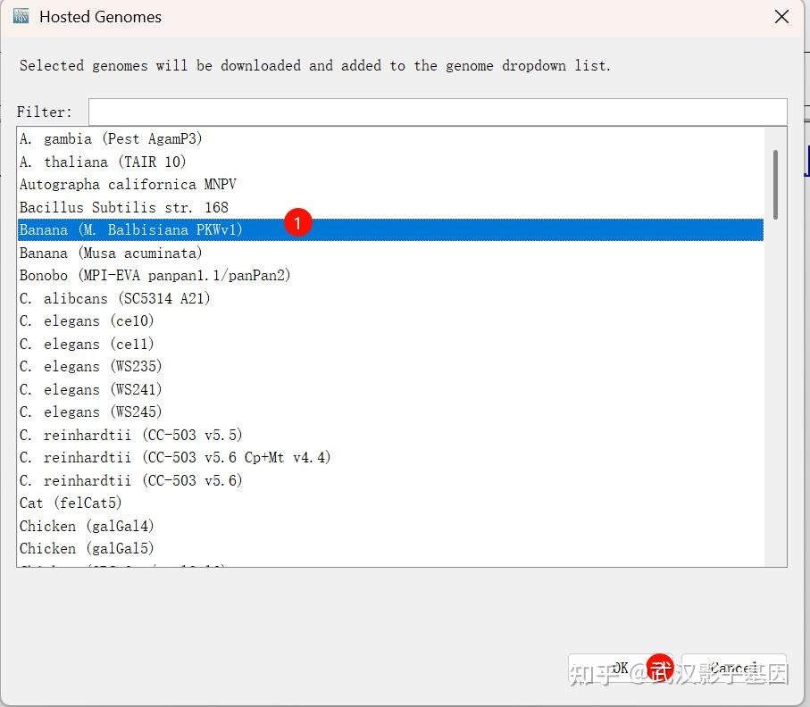 IGV使用教程（图文） - 知乎