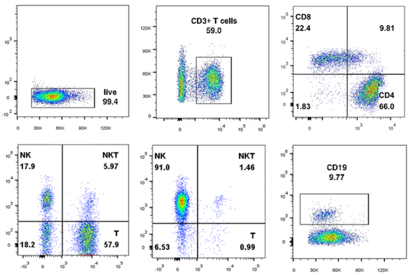 解读hPBMC—细胞治疗主力军 - 知乎