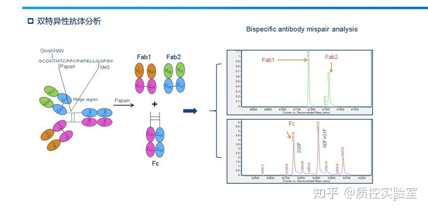 【学习笔记】治疗用蛋白理化分析表征用工具酶总结 - 知乎