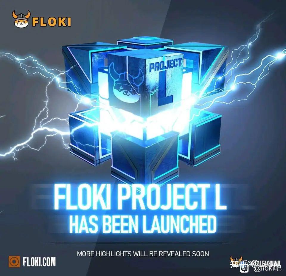 Floki付出了巨大的努力，在加密领域构建了最创新、最卓越的数字资产锁定协议 - 知乎