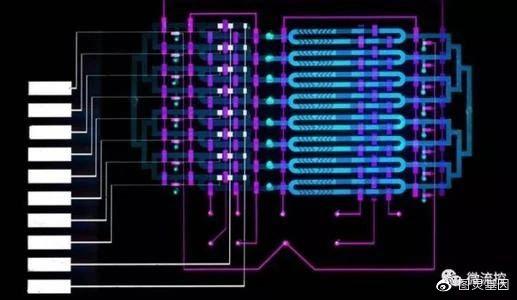 Cell | 高空间分辨率的微流控空间组学DBiT-seq - 知乎