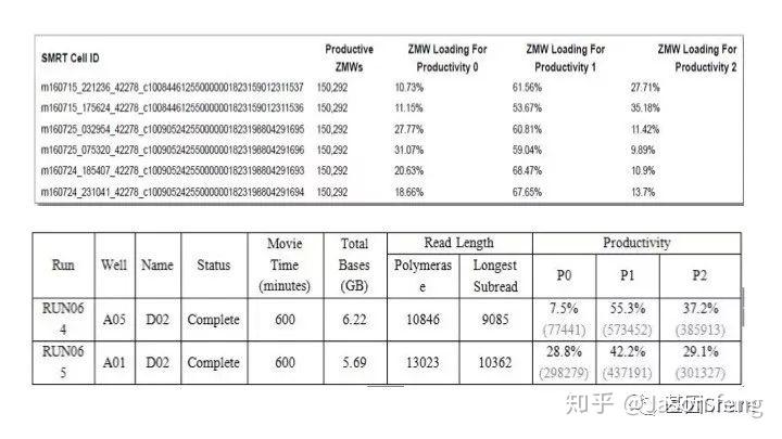 Pacbio测序原理以及SMRT bell文库构建流程简述 - 知乎