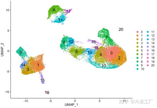 单细胞分析：细胞聚类（十） - 知乎