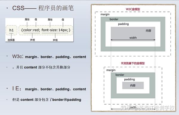 前端技术-W3C 标准 - 知乎
