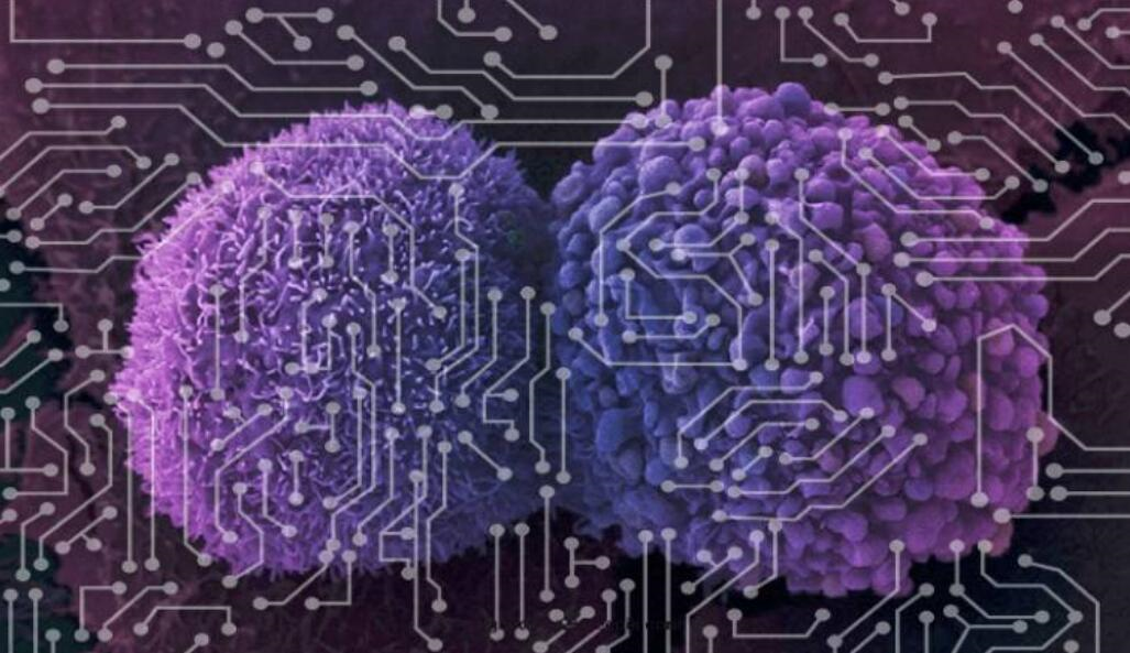 Cancer Cell | AI集成肿瘤多模态数据：数据融合和关联发现 - 知乎