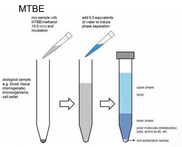 脂质组学 - 知乎