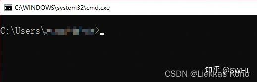 [RapidVideOCR周边] RapidVideOCR保姆级教程（从小白到上手使用） - 知乎