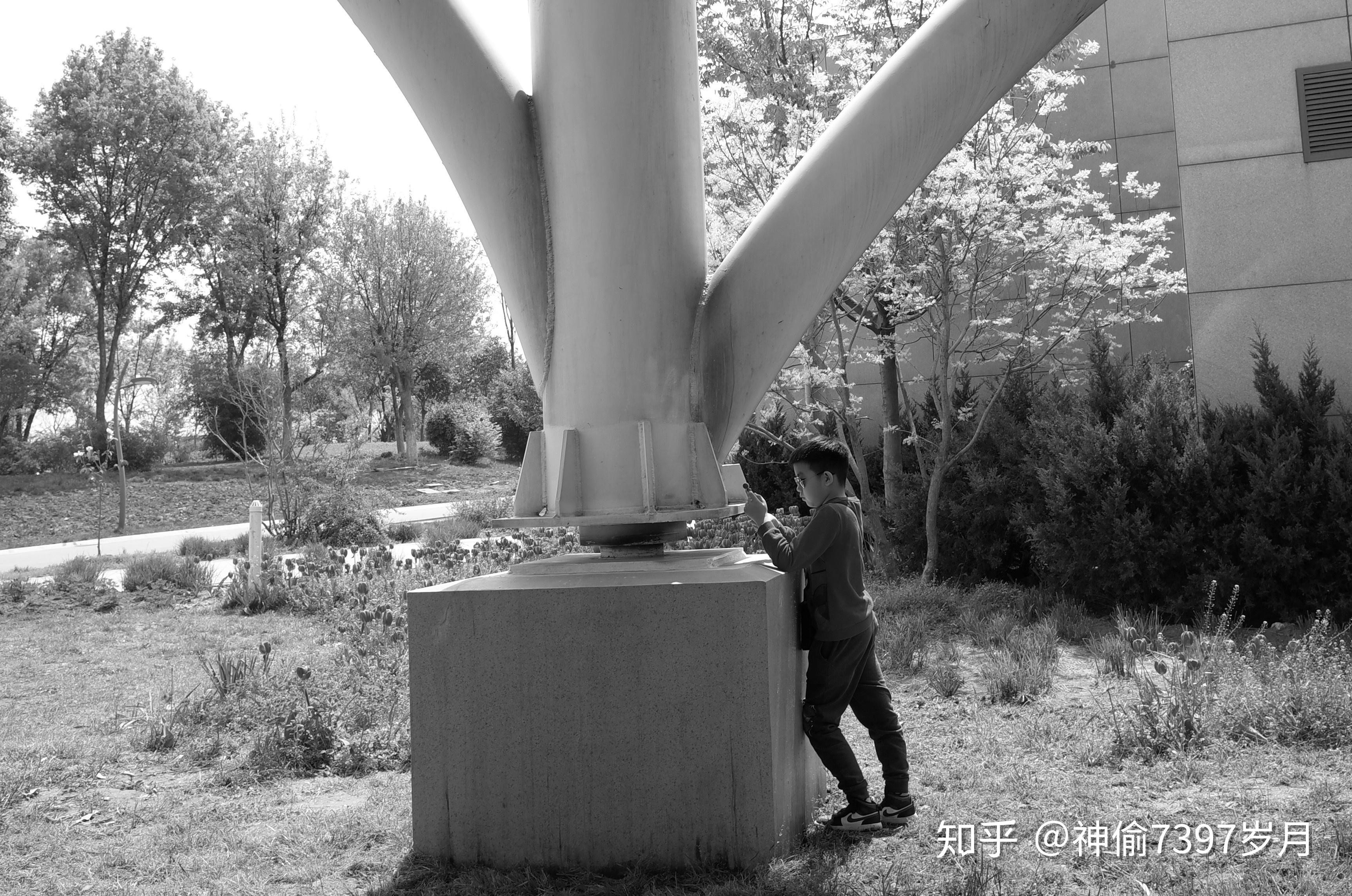 voyeur（窥隐癖者） - 知乎