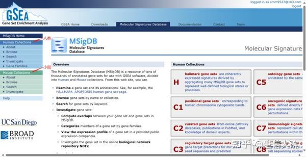 从GSEA下载目标基因集并使用maftools包绘制瀑布图 - 知乎