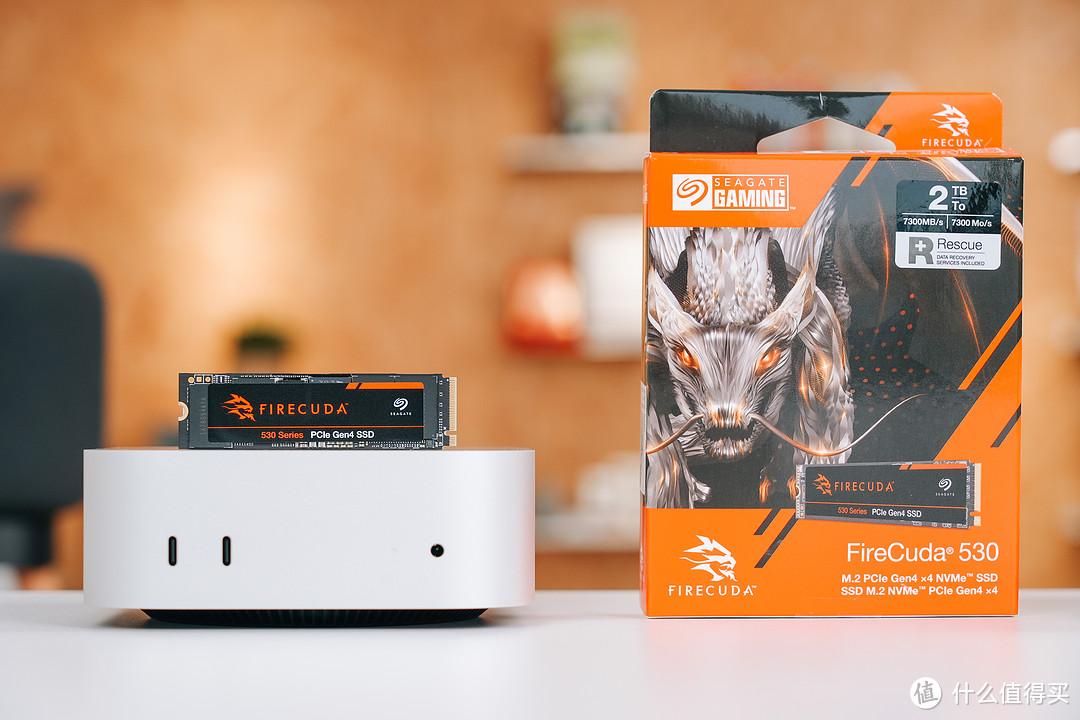 配件选好，连出高招：Mac mini 2024款配件扩展指南