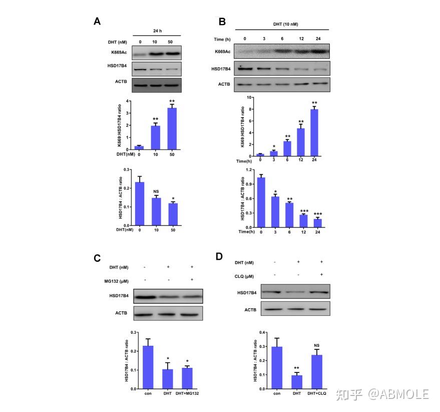 【AbMole MG132科研】乙酰化介导的HSD17B4降解调节PCa的进展 - 知乎