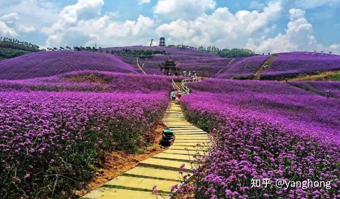 如何判断一段感情是否还要继续？ 知乎