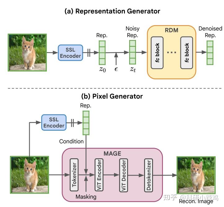 【何凯明】Self-conditioned Image Generation via Generating Representations（精读） - 知乎