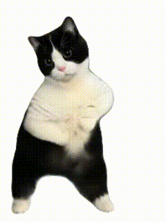 小狗奶牛猫跳舞动态表情包 知乎