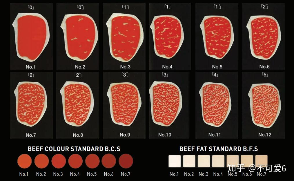 日本和牛Wagyu的知识 - 知乎