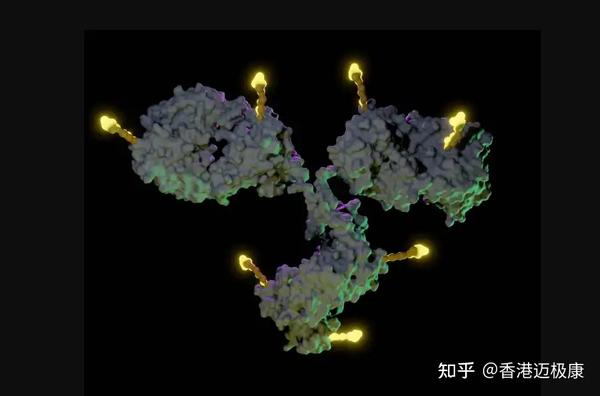 FDA已加速批准 ImmunoGen Inc. 的 Elahere，用于铂耐药卵巢癌的抗体药物偶联物 - 知乎