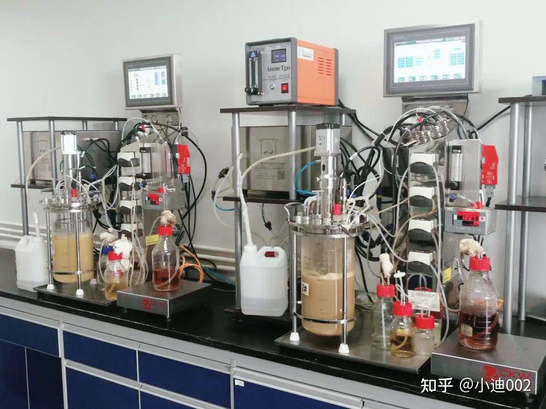 生物反应器应用 | 枯草芽孢杆菌T7异源蛋白高效表达系统 - 知乎