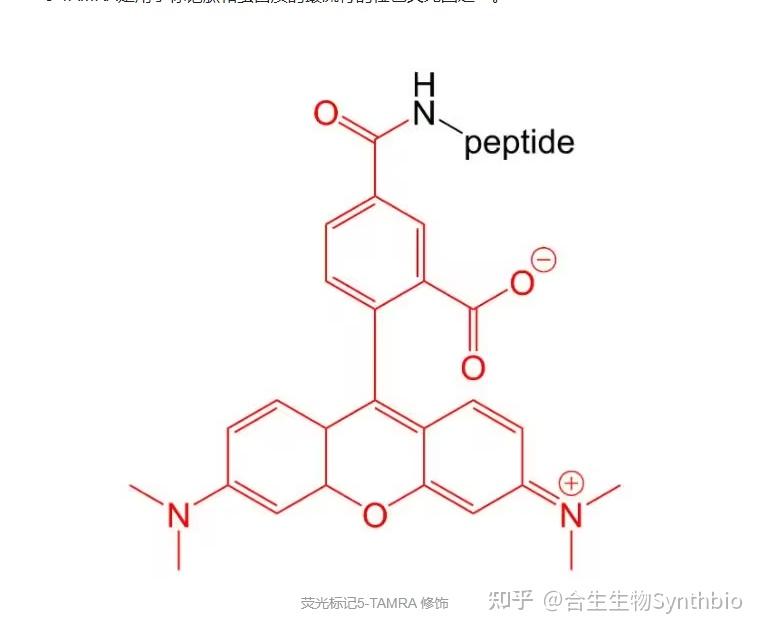 多肽合成荧光标记多肽FITC/AMC/FAM/Rhodamine/TAMRA/Cy3/Cy5/Cy7-Peptide常见基团介绍 - 知乎