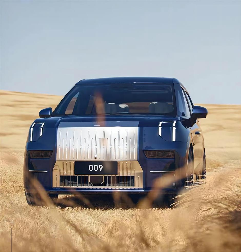 配15.6英寸吸顶屏 极氪ZEEKR 009内饰官图公布 - 知乎