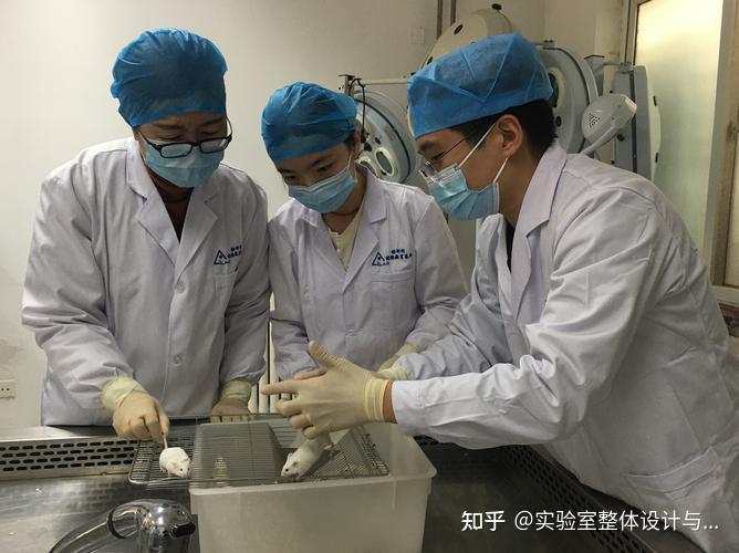 江苏ABSL-2实验室条件下的安全设备（初级防护屏障） - 知乎