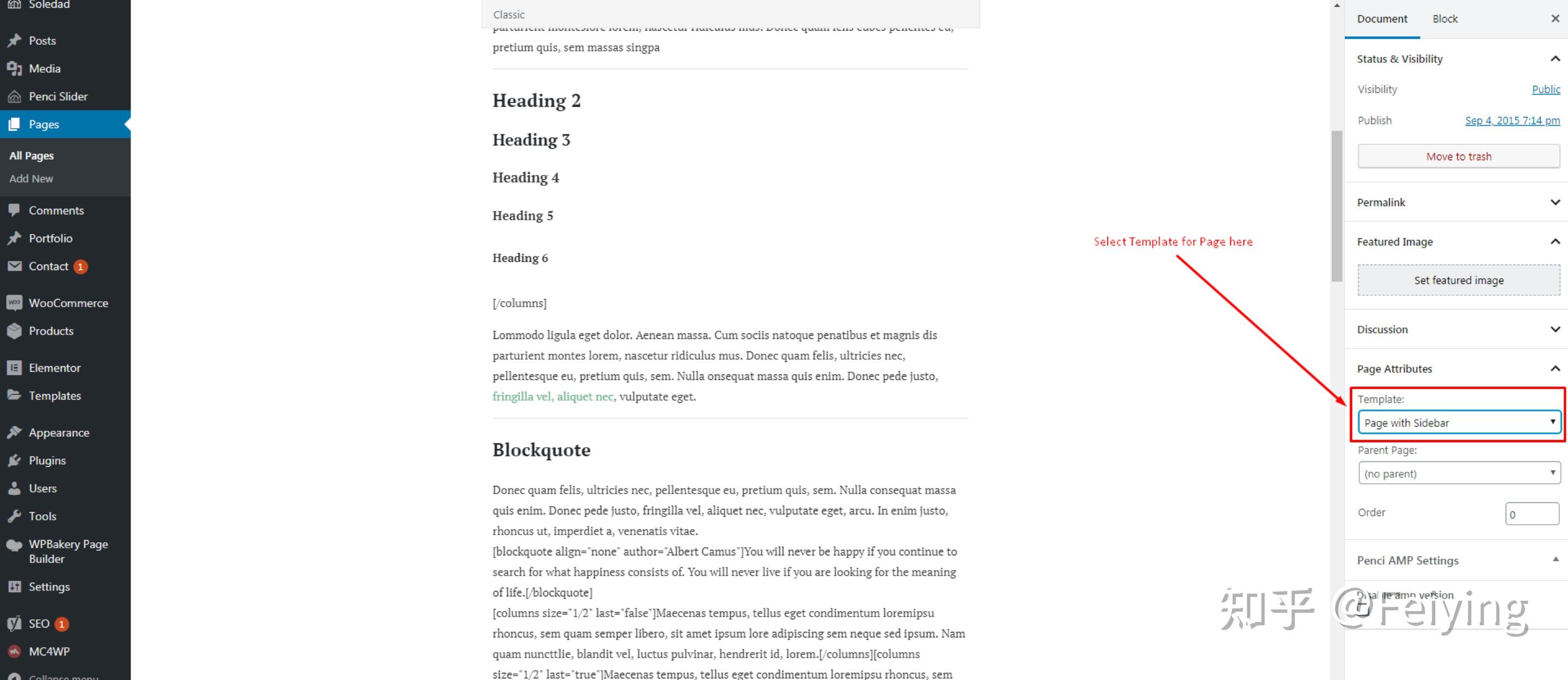 Soledad v8.3.0 – 多概念博客/杂志/新闻 AMP WordPress 主题安装指南及功能详解 - 知乎