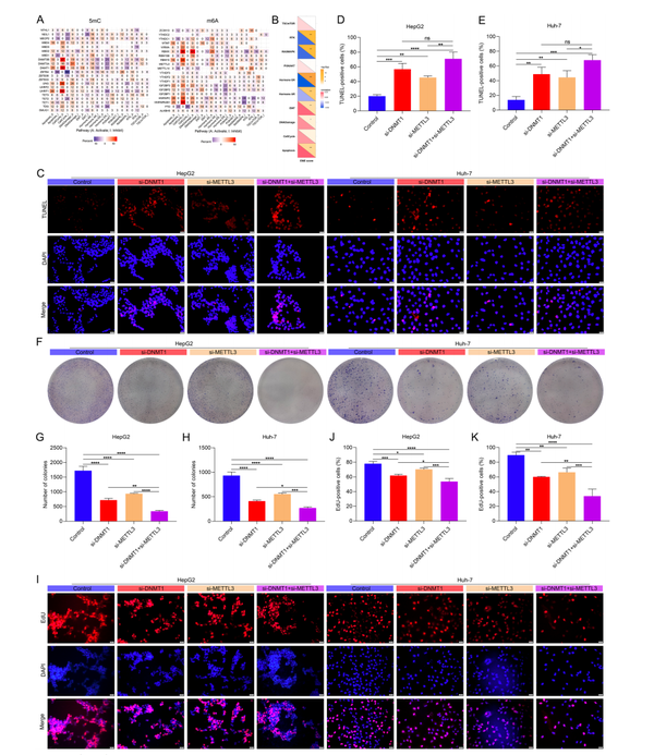 Mol Can ｜ 根据5mC/m6A多组学EME打分预测肝癌进展和潜在靶点 - 知乎