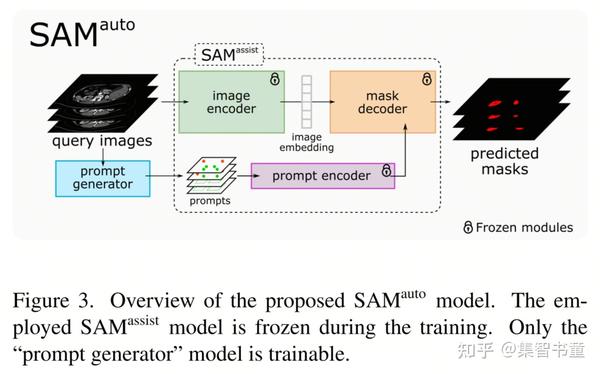 SAM-Med | 英伟达基于SAM提出医学图像标注效率神器 - 知乎