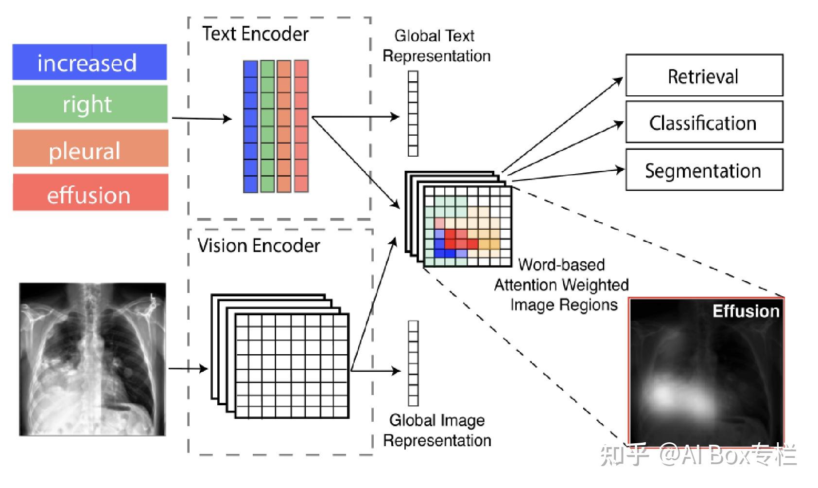 Multimodality in Medical Domain：一文速览医学多模态进展 - 知乎