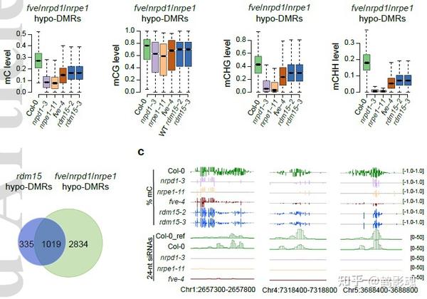 Plant Journal︱中科院上海植物逆境中心郎曌博研究员团队研究揭示开花调节因子FVE在RdDM途径中发挥重要功能 - 知乎