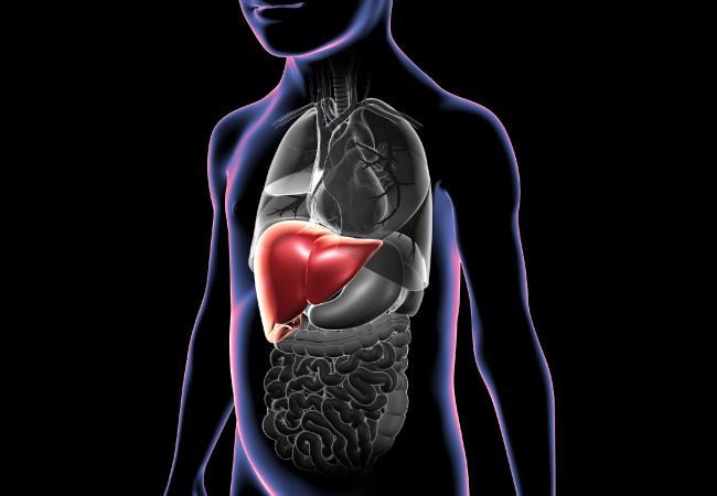 进行性家族性肝内胆汁淤积新药IBAT抑制Bylvay（odevixibat）获FDA批准 - 知乎