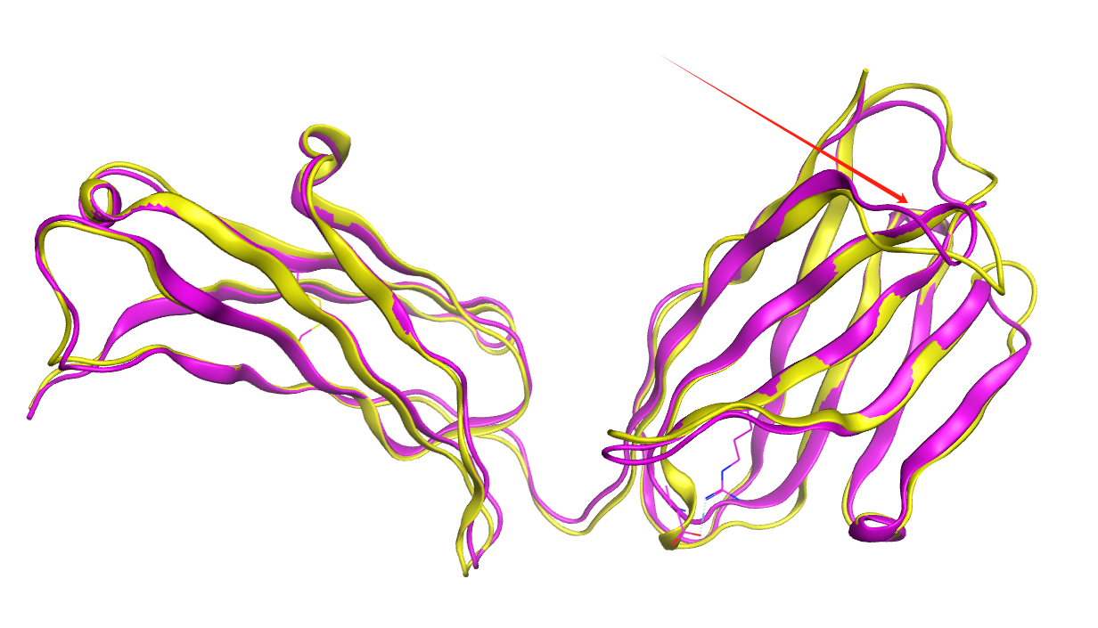 Partial Diffusion：开启蛋白结构精准优化的AI新纪元 - 知乎