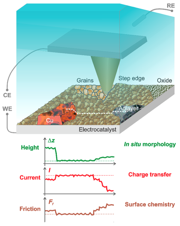 AFM在不同领域的应用 - 知乎