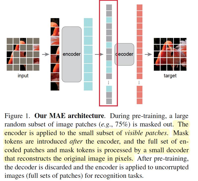 [paper reading] MAE - 知乎