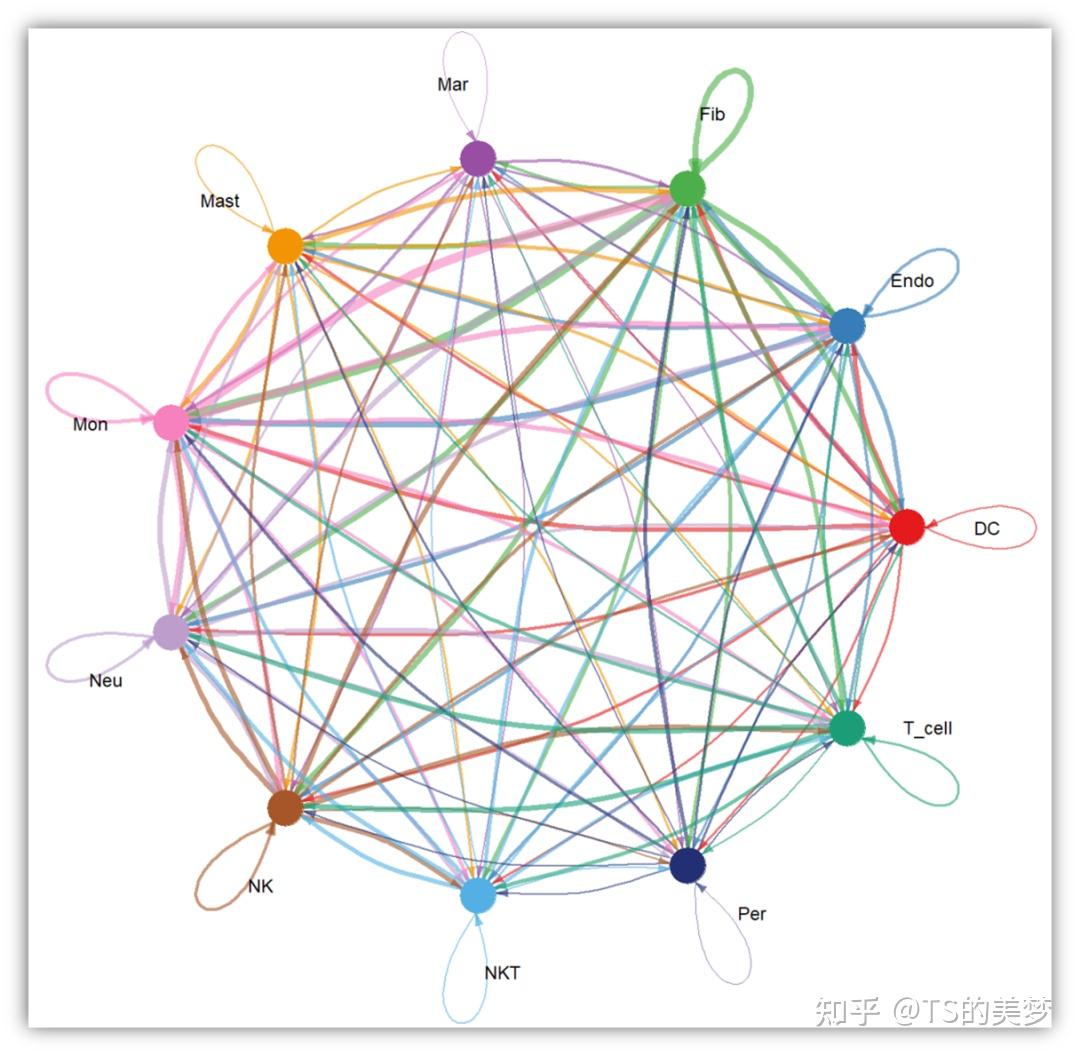 一文解决Cellphonedb单细胞互作分析及可视化作图（2） - 知乎