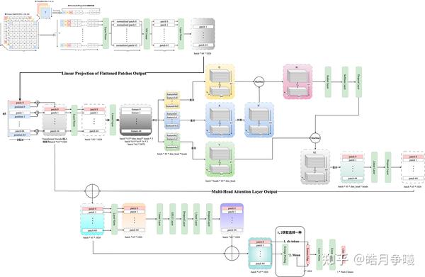 ViT模型计算流程图解 - 知乎